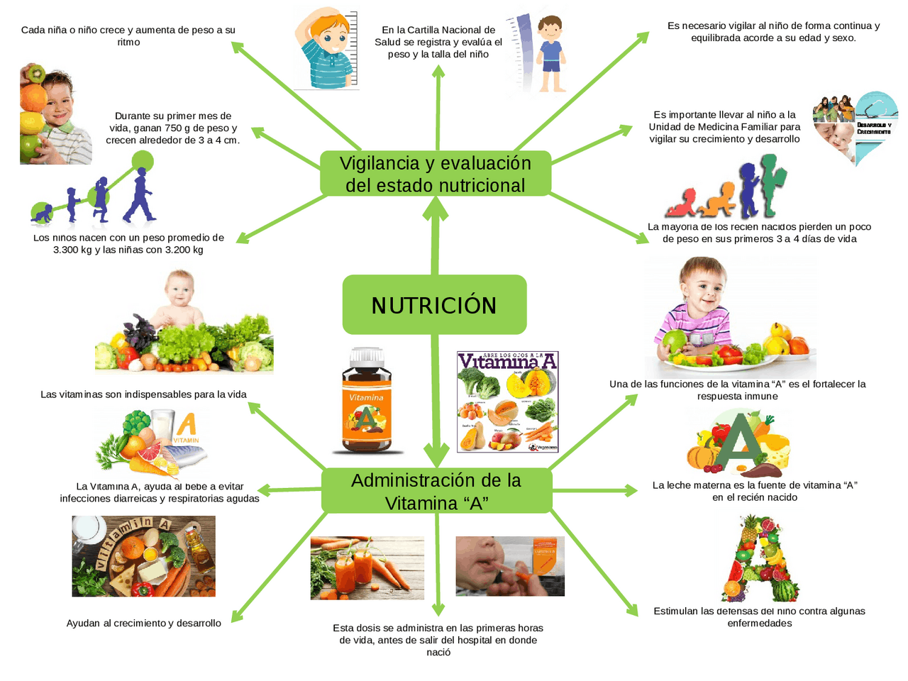 Apuntes De NutriciÓn En NiÑos Docsity