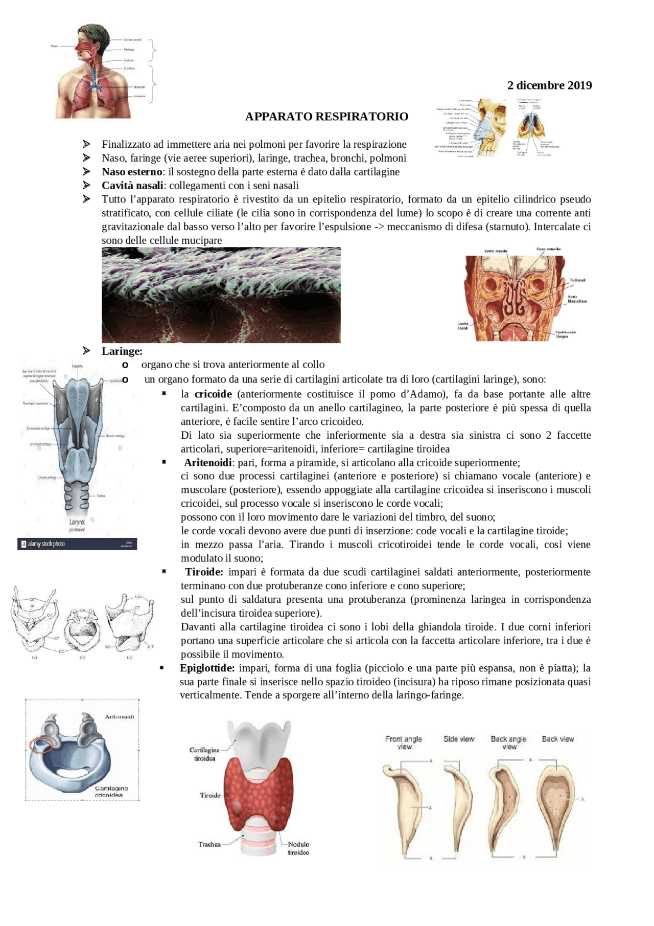Appunti Anatomia Generale Docsity