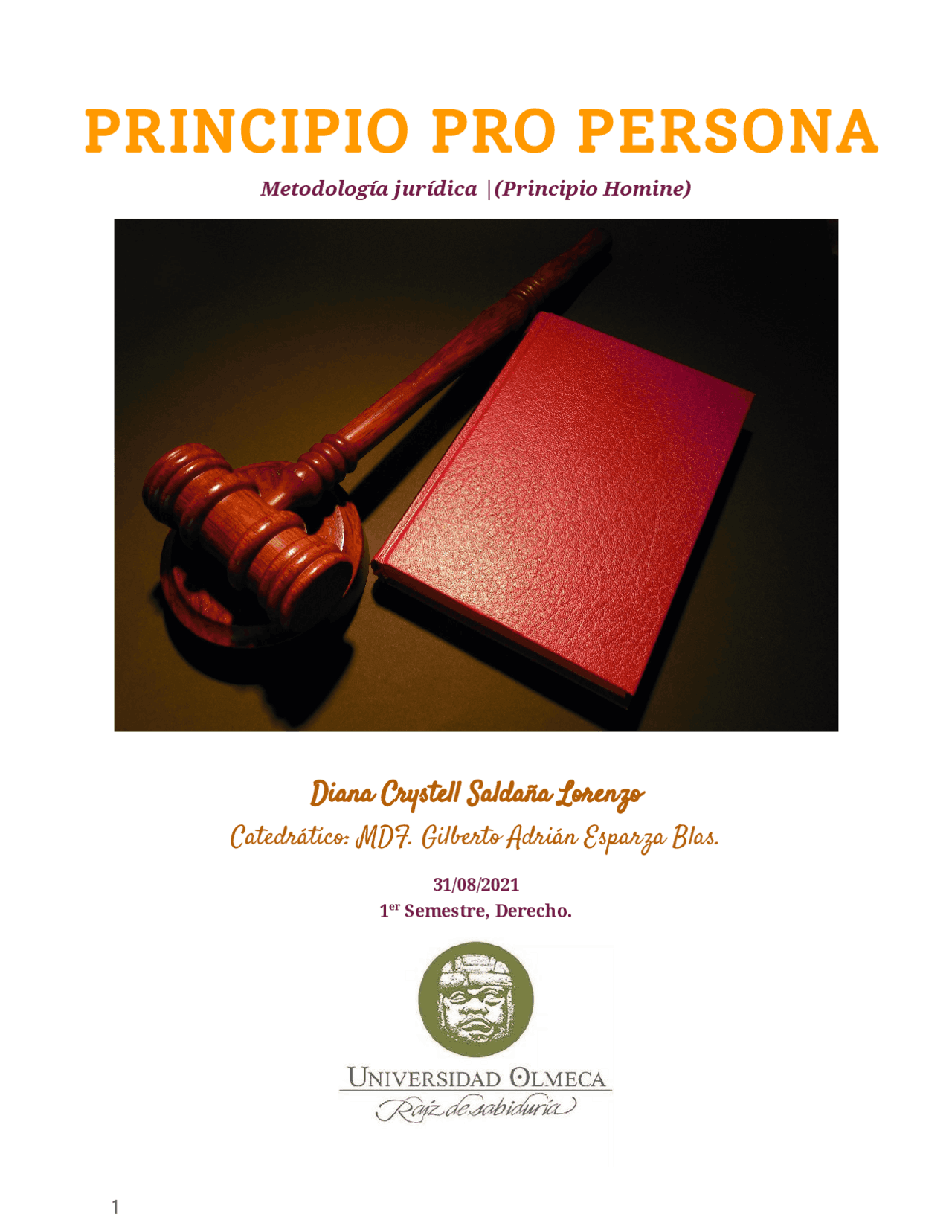 Ensayo - Principio Pro Homine (Pro persona) - Docsity