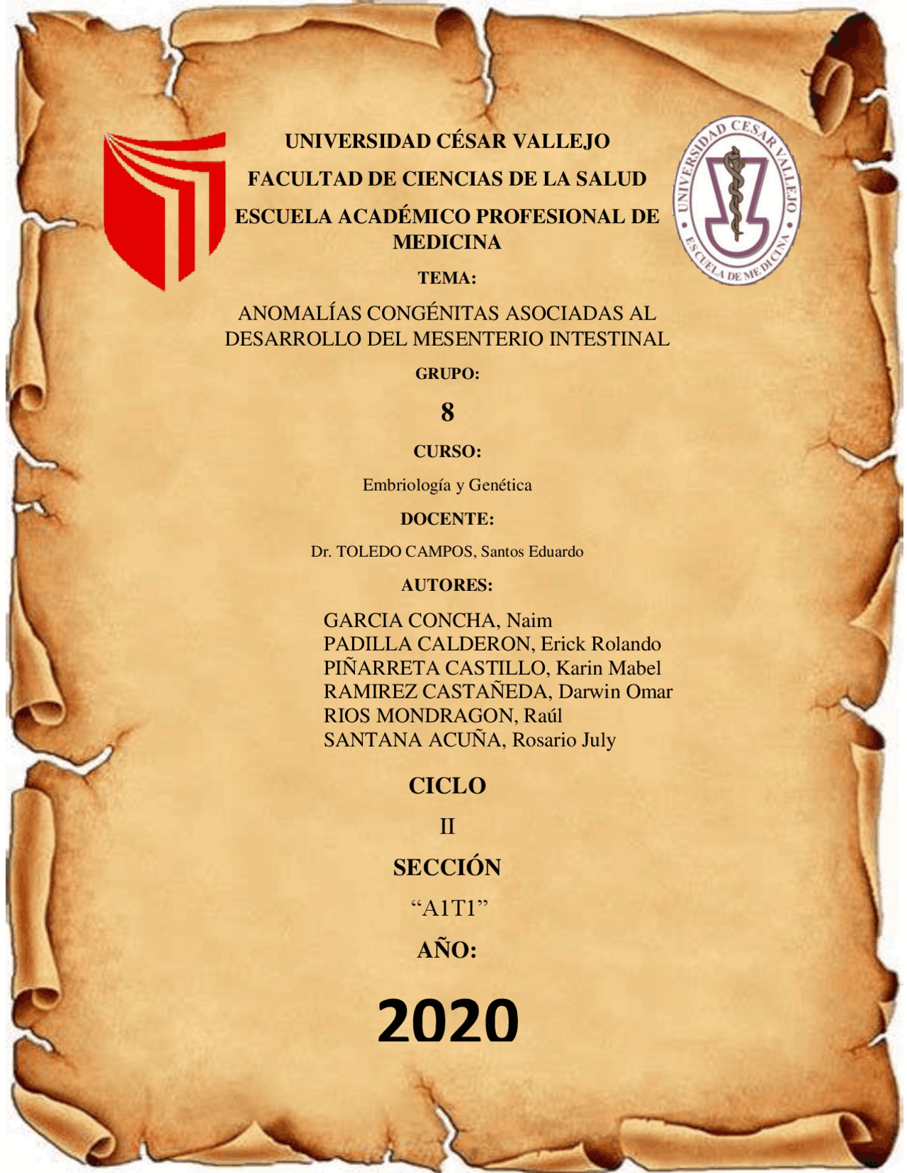 Embriologia Y Genetica Docsity