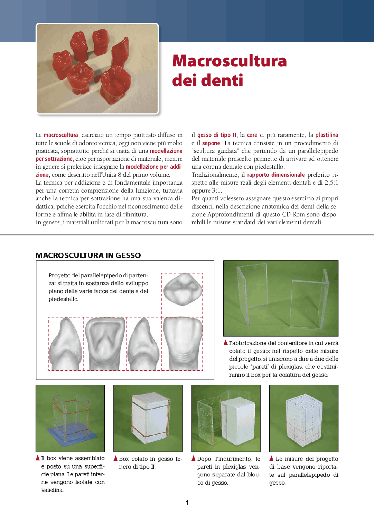 Esempi di Macro scultura - Docsity
