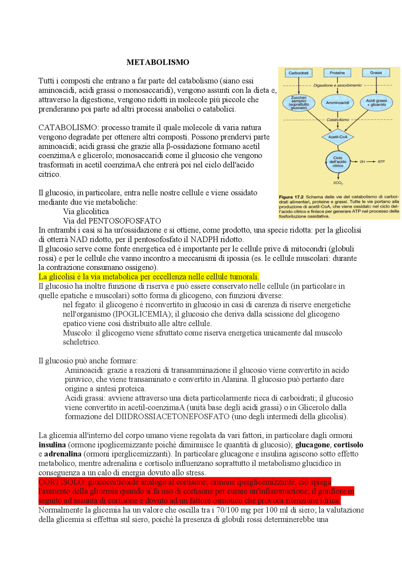 Il metabolismo cellulare - Docsity