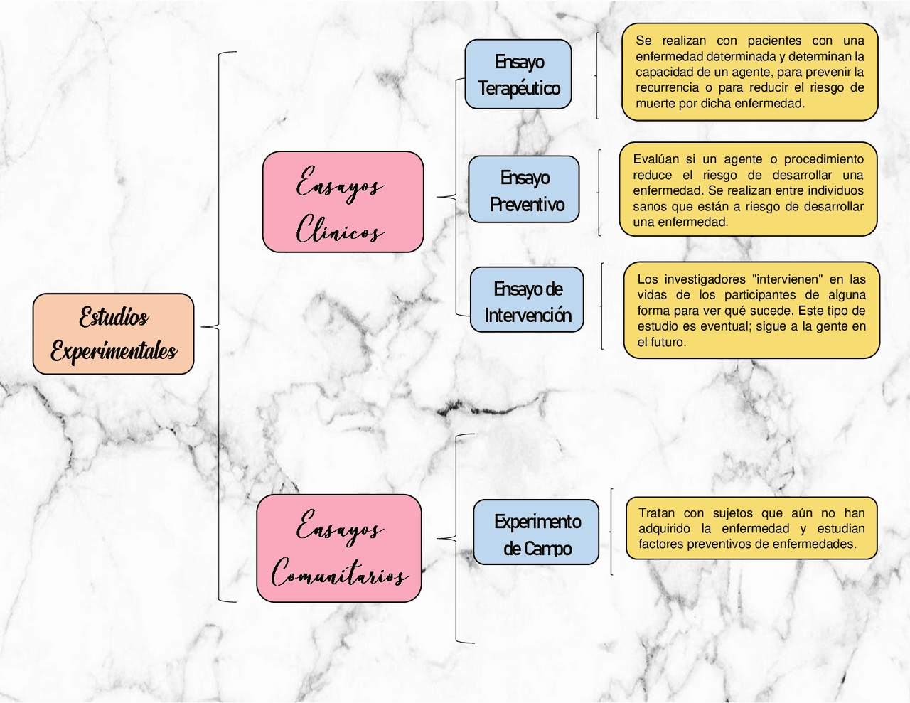 Mapa Acerca Problemas Epidemiologicos Docsity