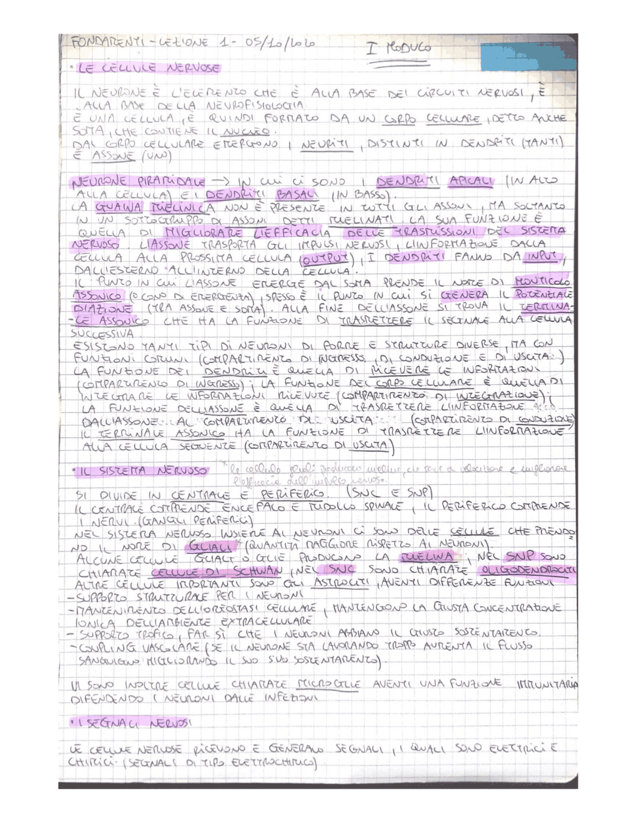 Modulo 1 Di Fondamenti Anatomo Fisiologici Dei Processi Psichici Parte