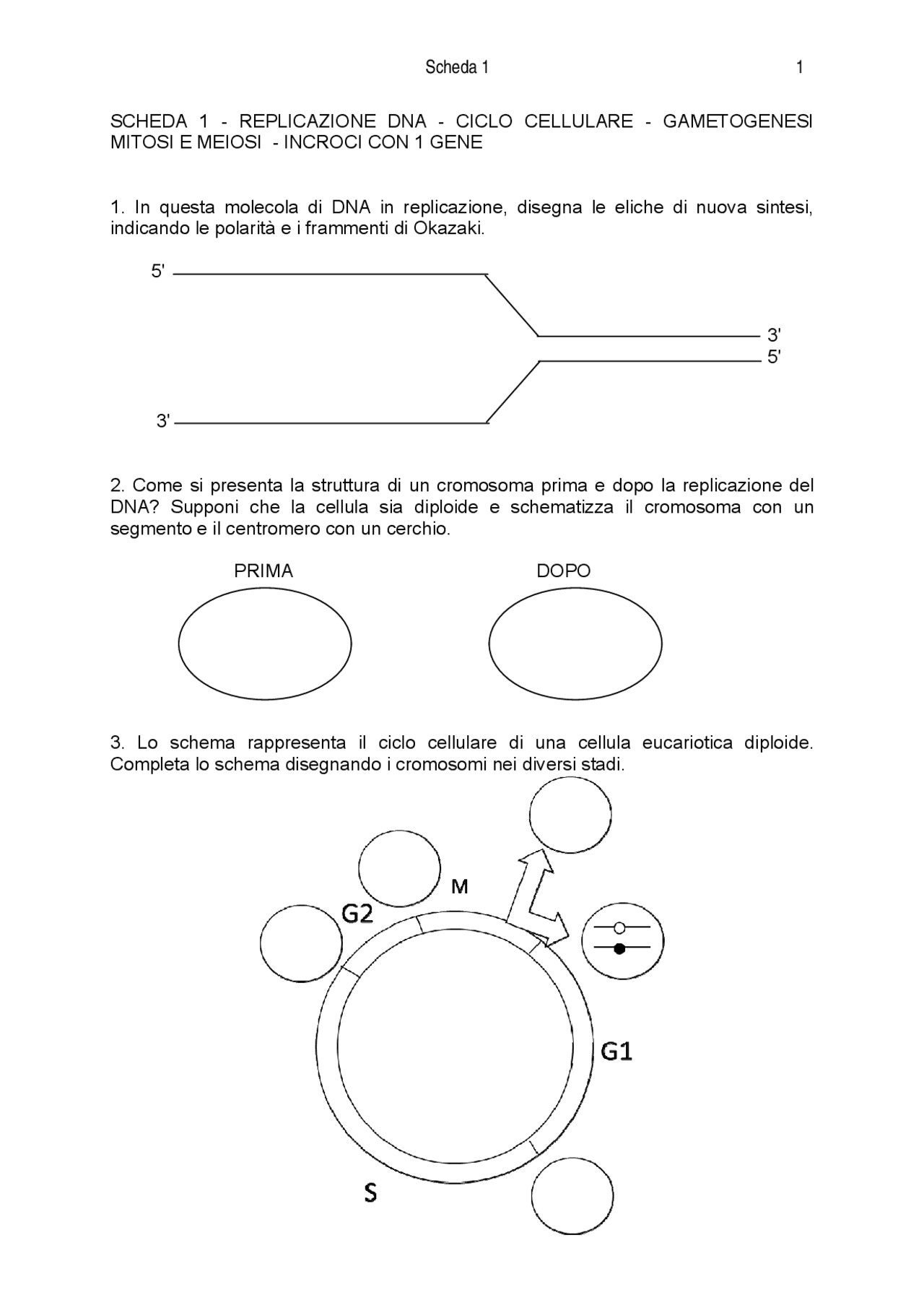 Esercizi Genetica Molecolare Docsity