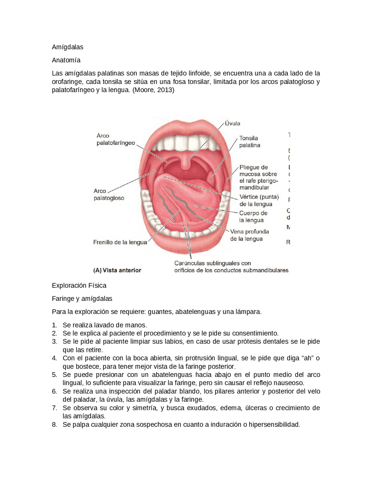 Exploración amigdalas - Docsity