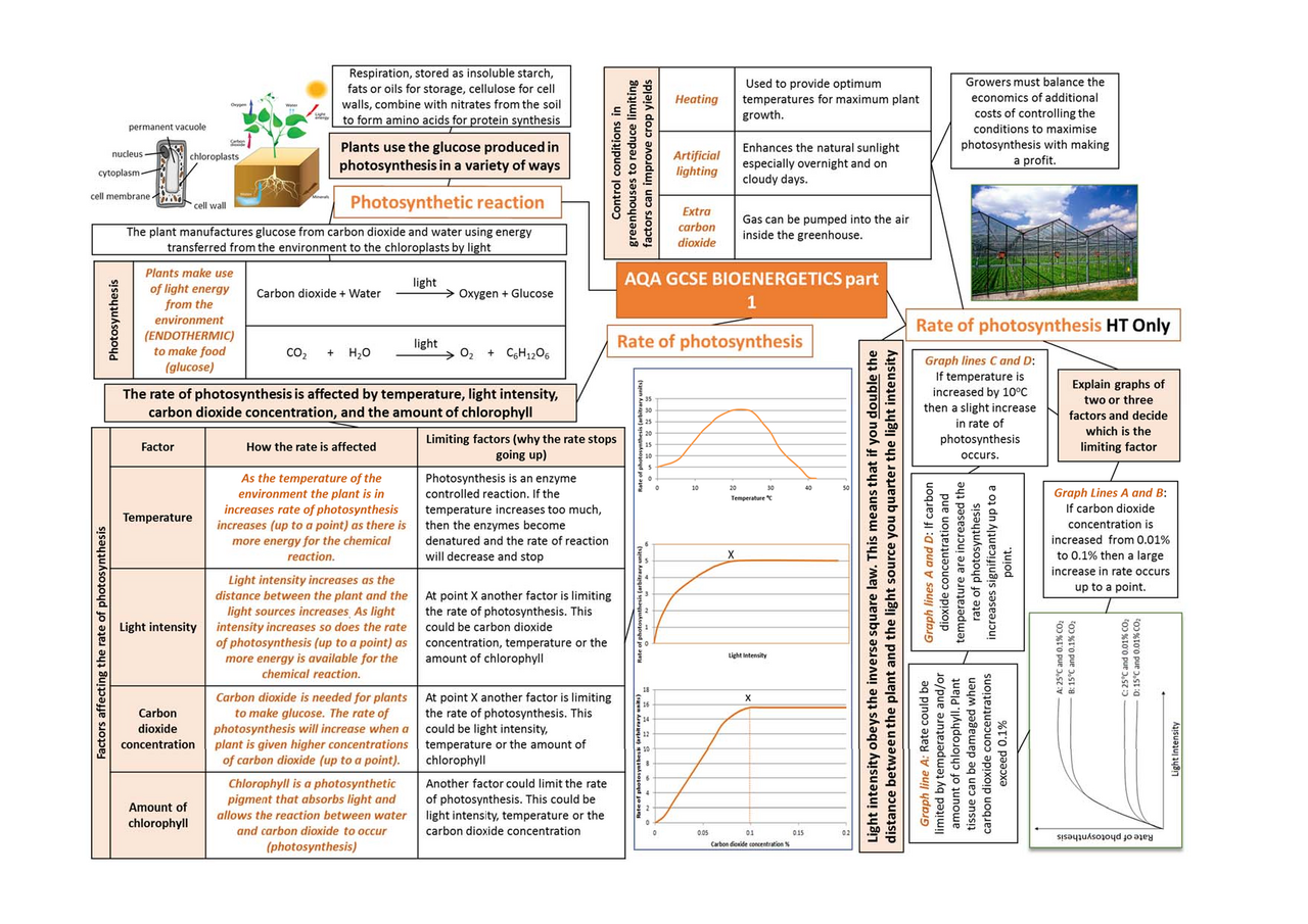 Bioenergetics Summary Docsity