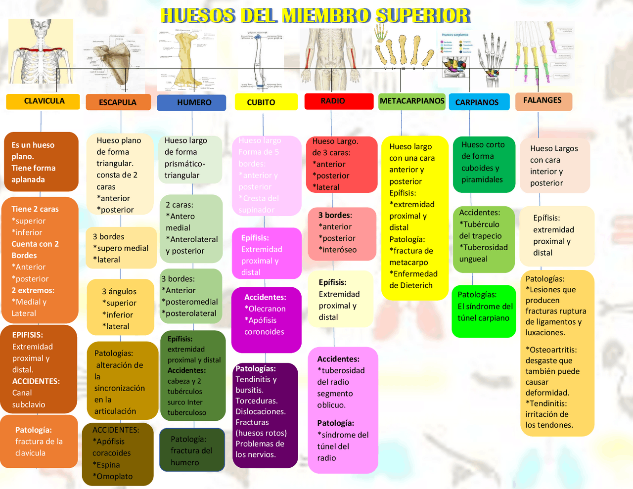 Kindjscjjkcshdfcnkdsncvhshvn jsndj hnsdvh nskjdhn - Docsity