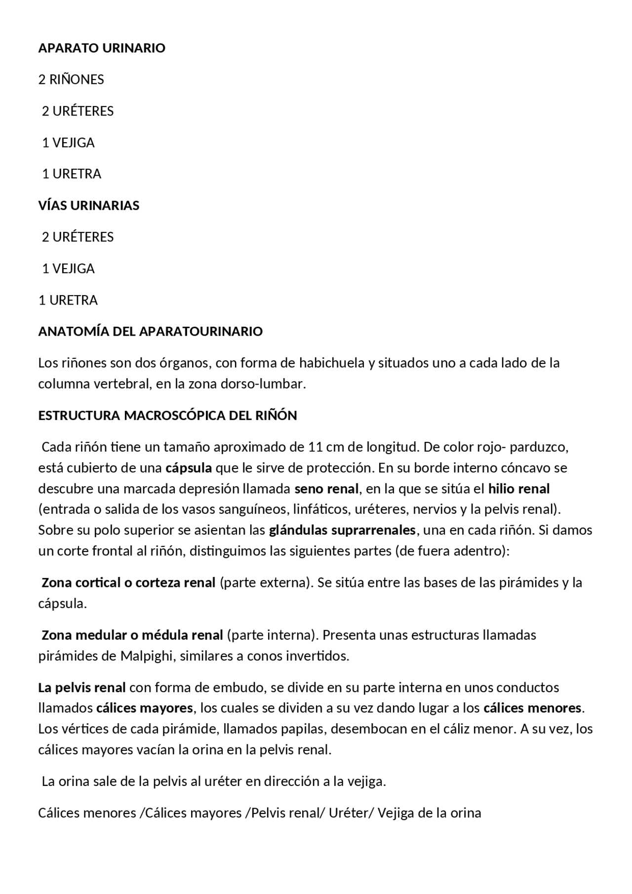 Aparato Urinario Apuntes Docsity