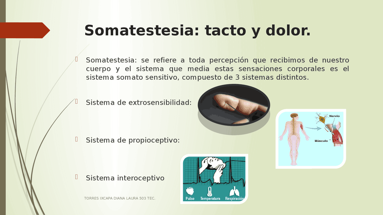 Somestesia Tacto y Dolor - Docsity