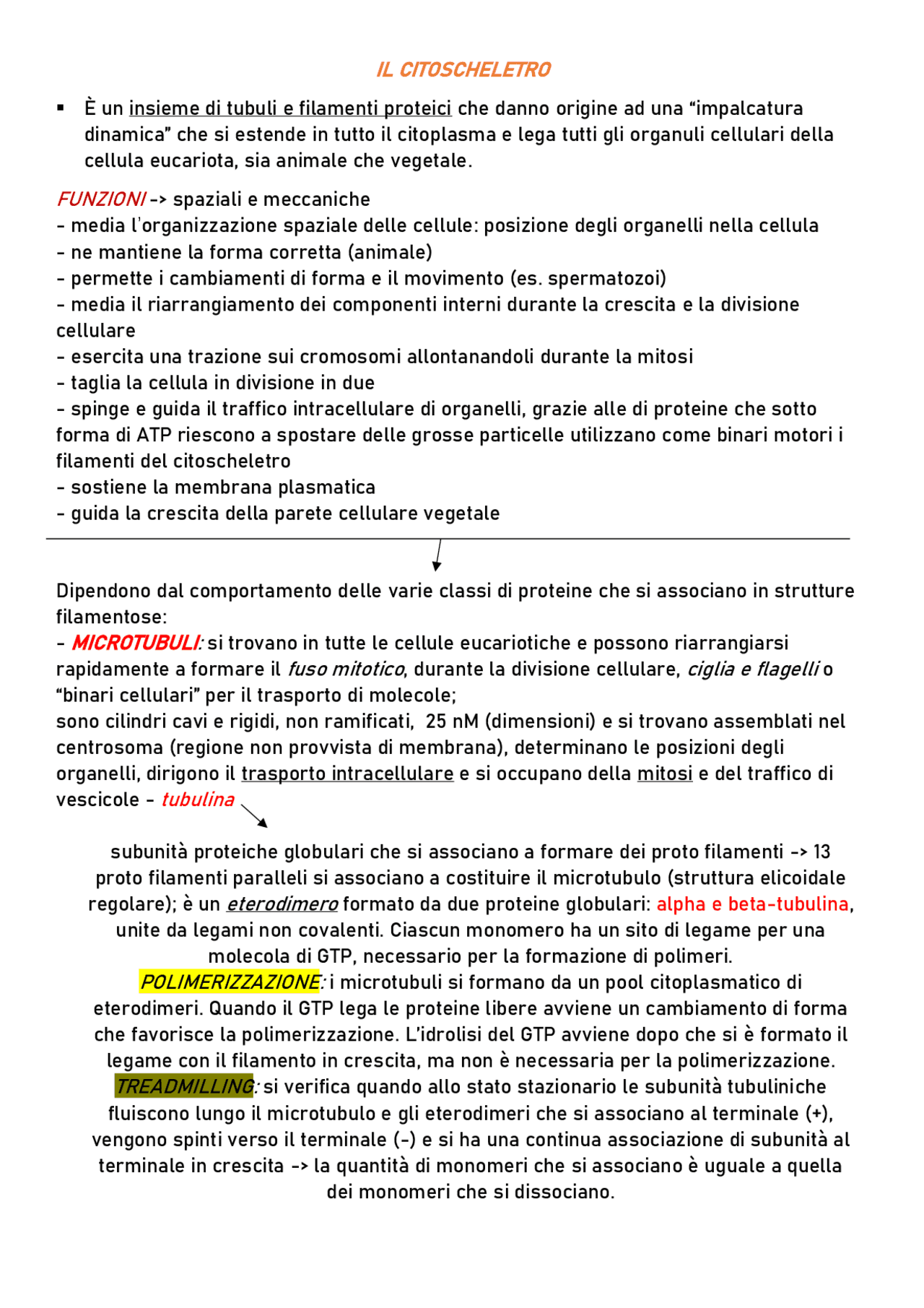 Appunti Citoscheletro Docsity