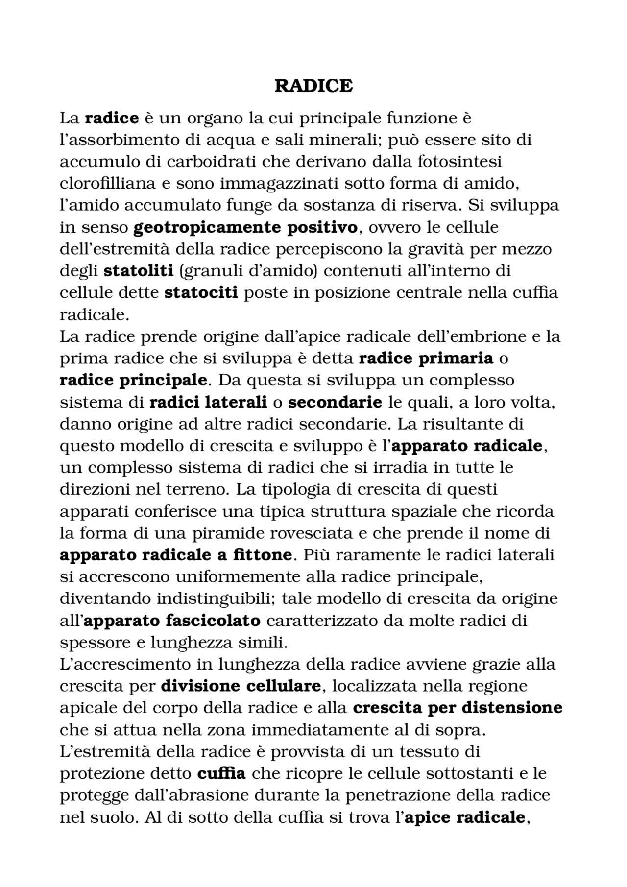 Botanica Generale Radice Docsity