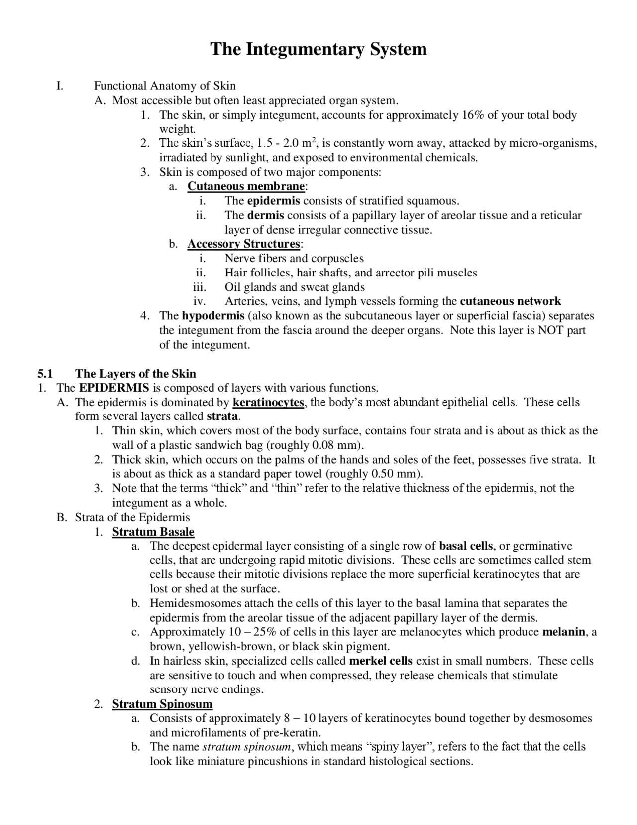 The Integumentary System Pdf Study Notes - Docsity