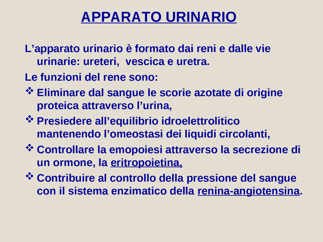 Slide funzione del rene - Docsity