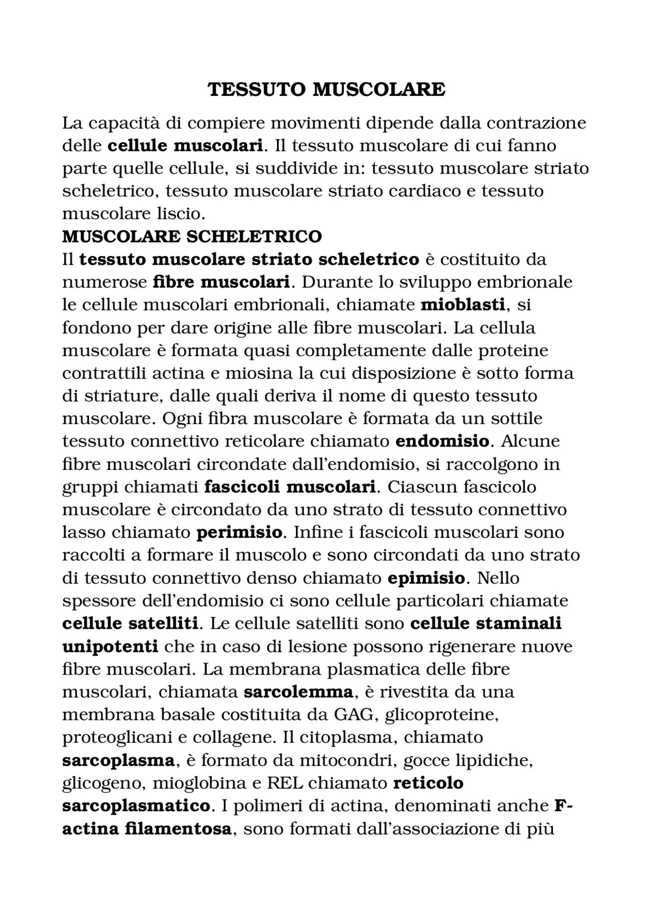 Tessuto Muscolarepdf Docsity