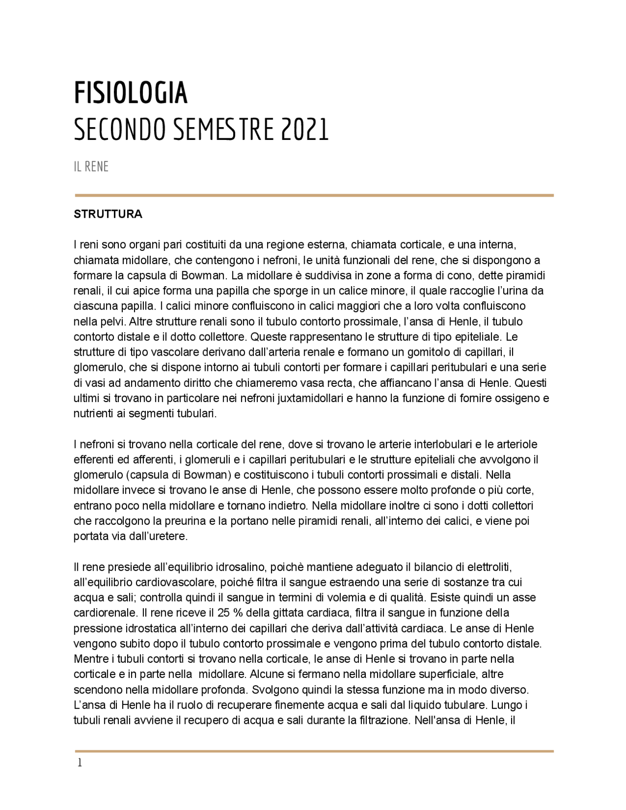 Il rene: struttura e funzione - Docsity