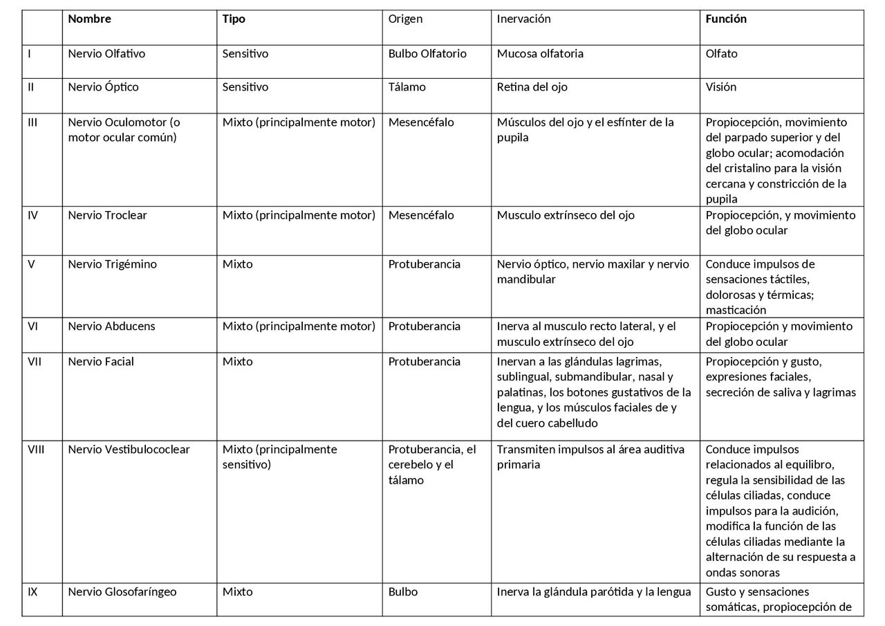 Resumo Pares Craneales Docsity