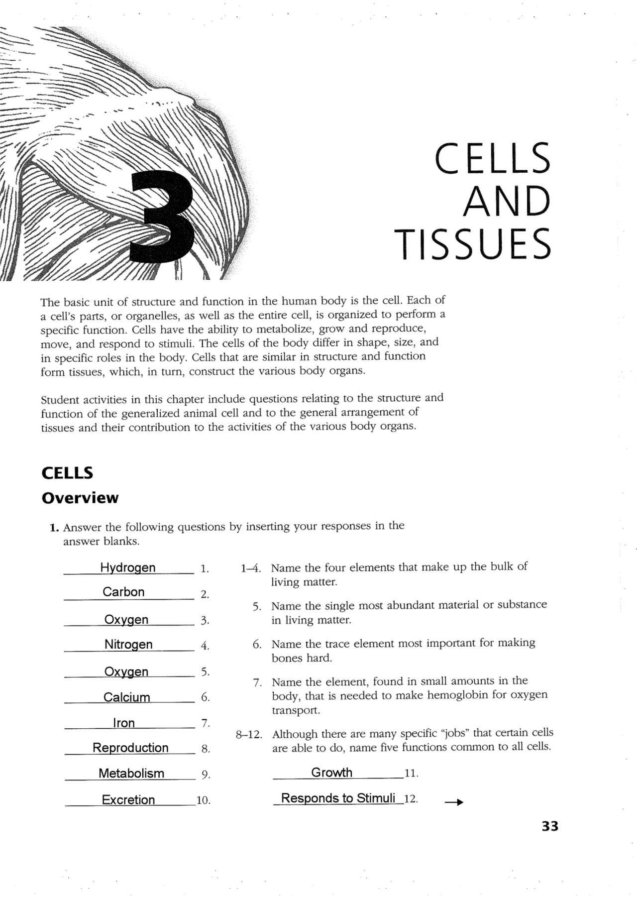 Anatomy And Physiology Coloring Workbook Answers Chapter 3