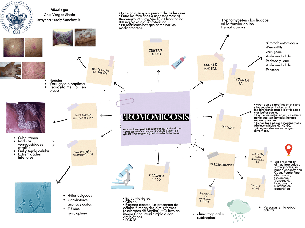 Mapa Mental de Cromomicosis - Docsity