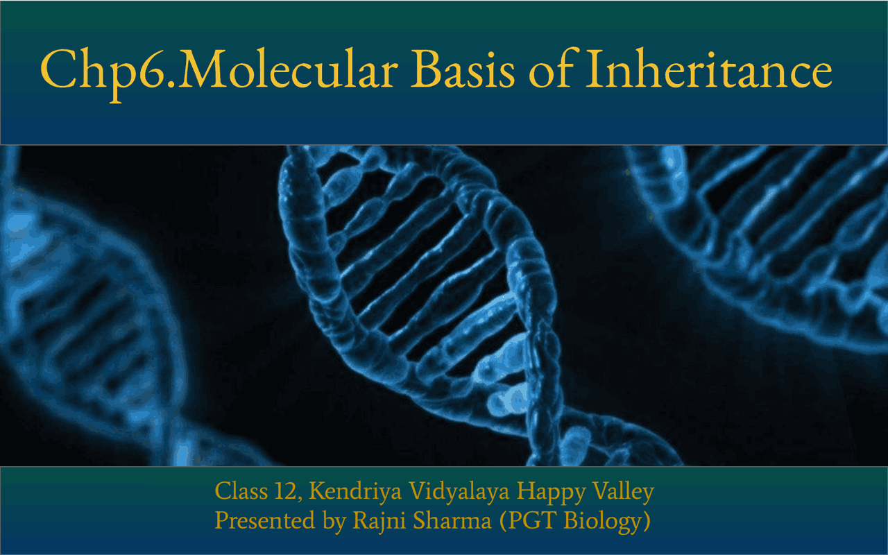 Molecular Basis Of Inheritance Docsity