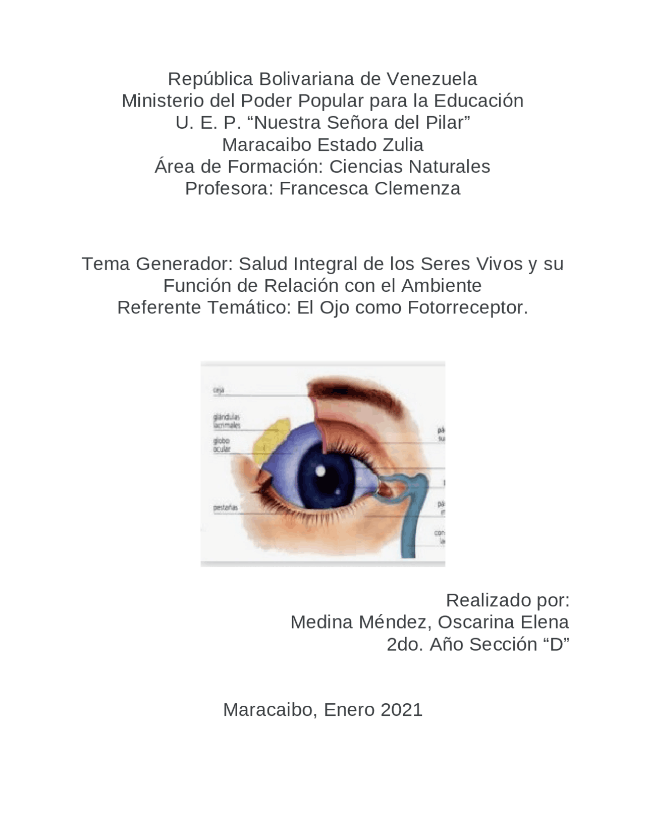El ojo como fotorreceptor de los seres vivos - Docsity