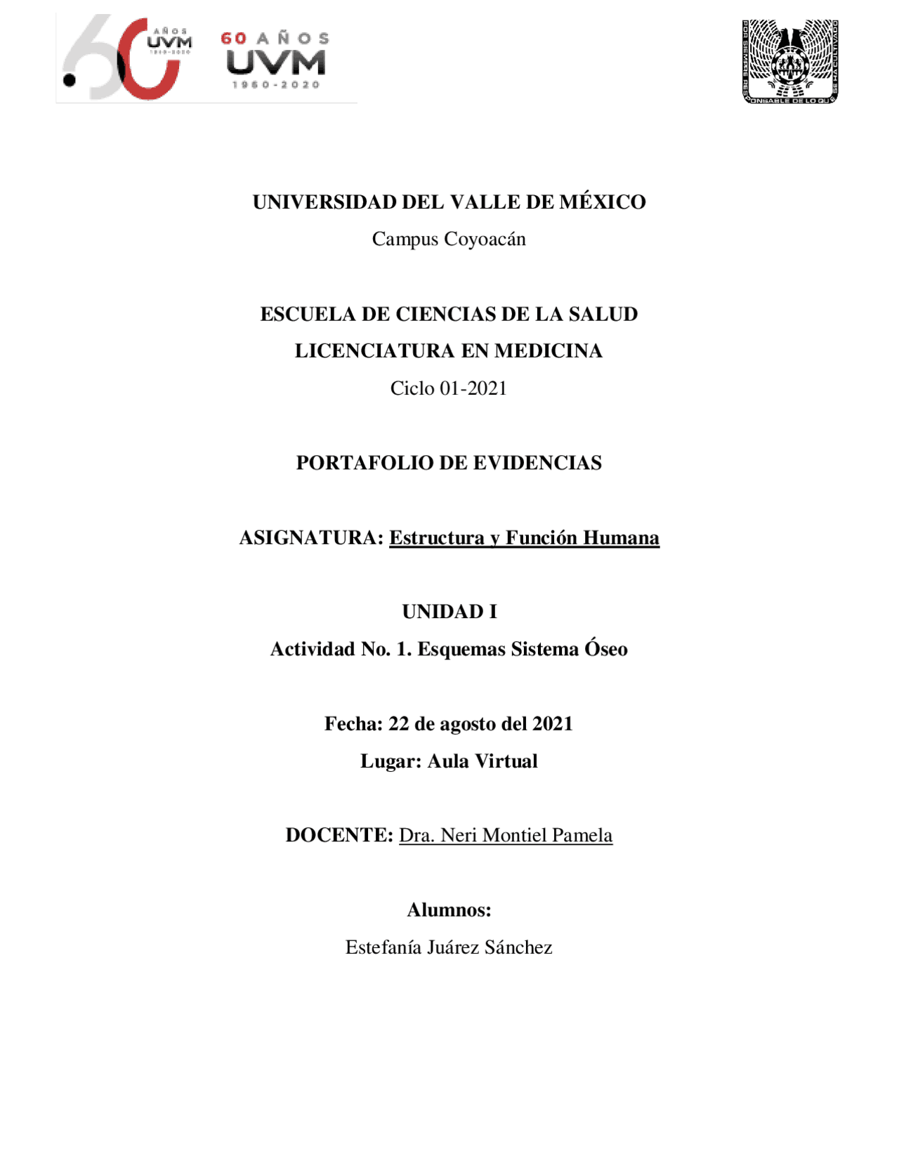 Esquema Sistema Oseo Docsity