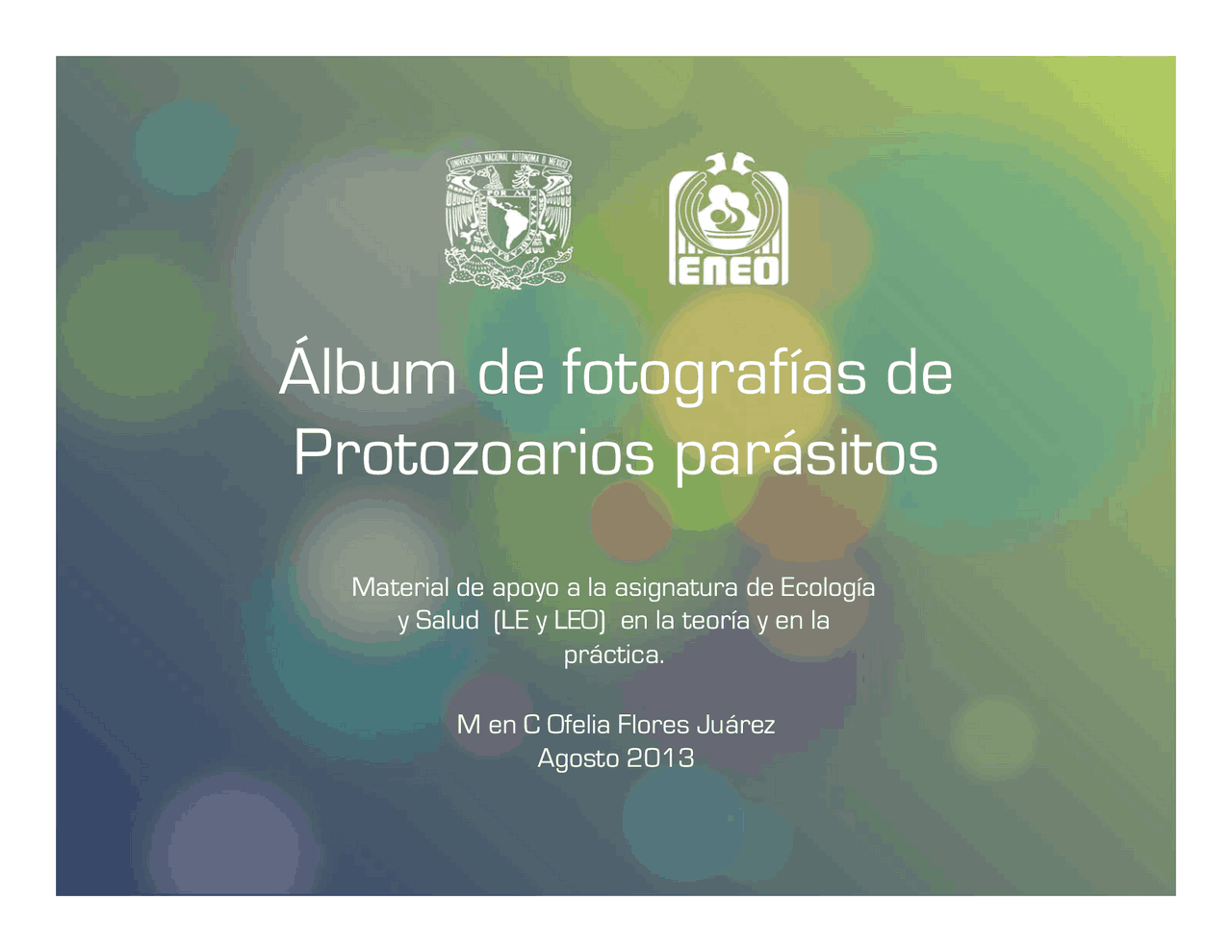 Paracitos En El Sistema Digestivo Docsity