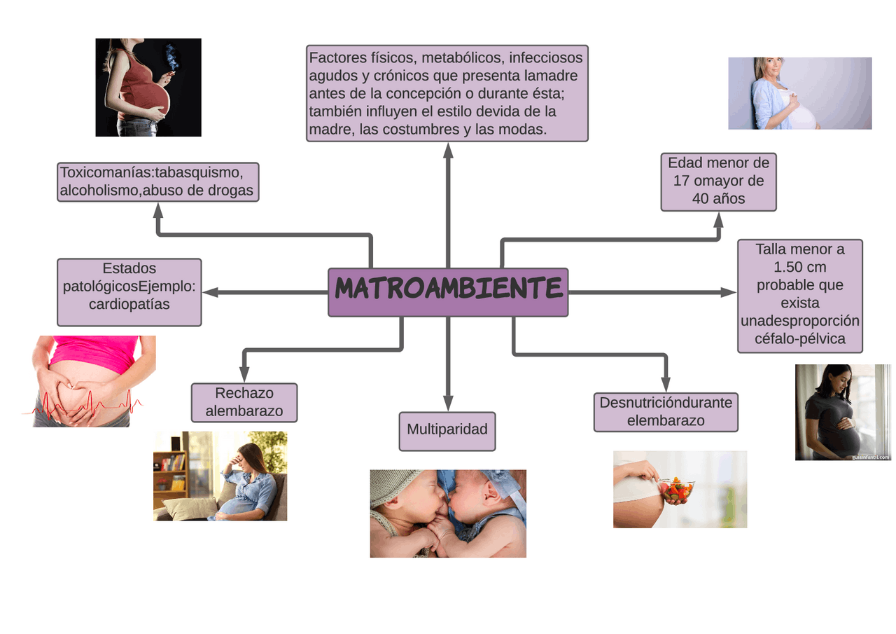 MATROAMBIENTE EN EL EMBARAZO - Docsity