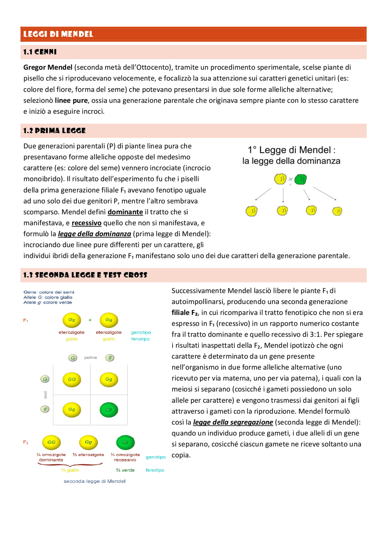 Appunti Sulle Leggi Di Mendel Appunti Di Biologia Docsity