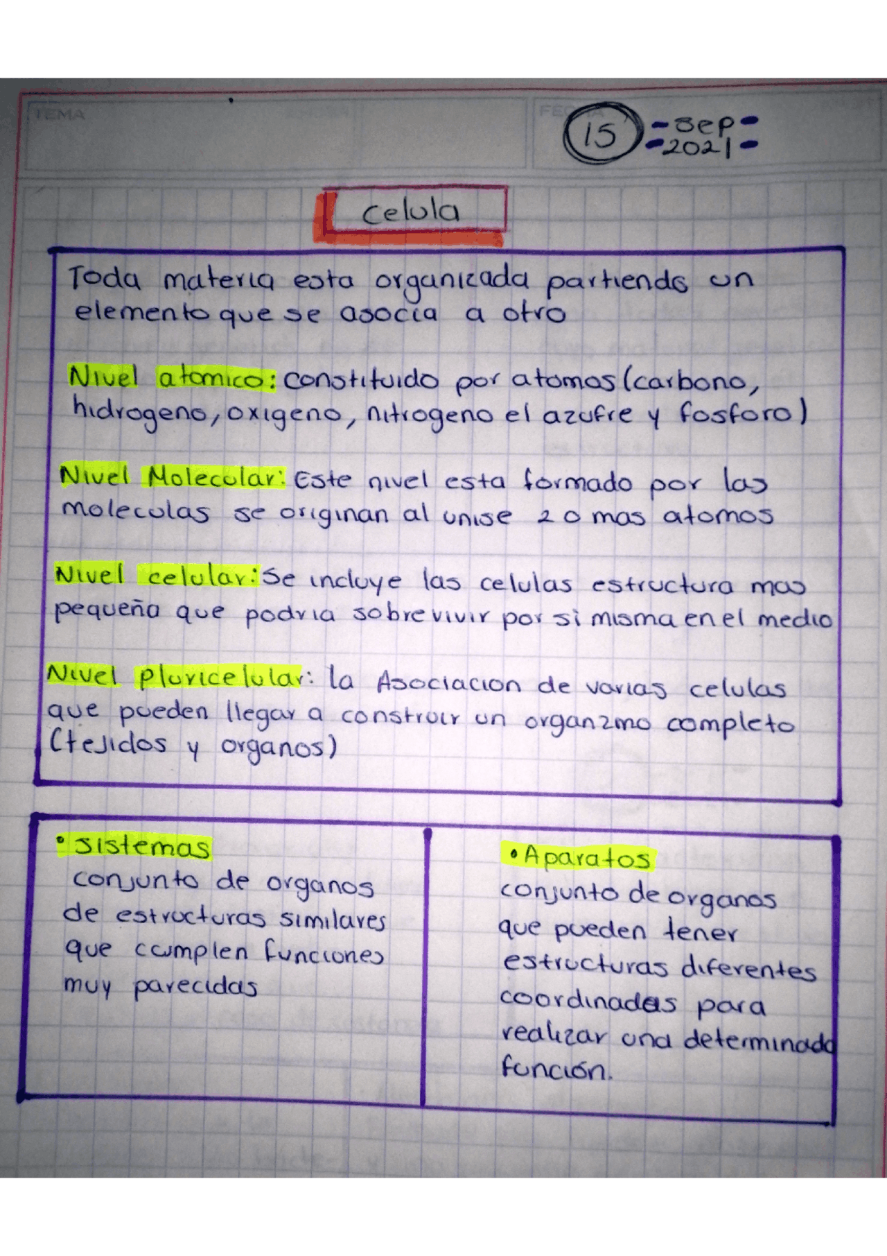 Célula De Bioquimica 1 Docsity