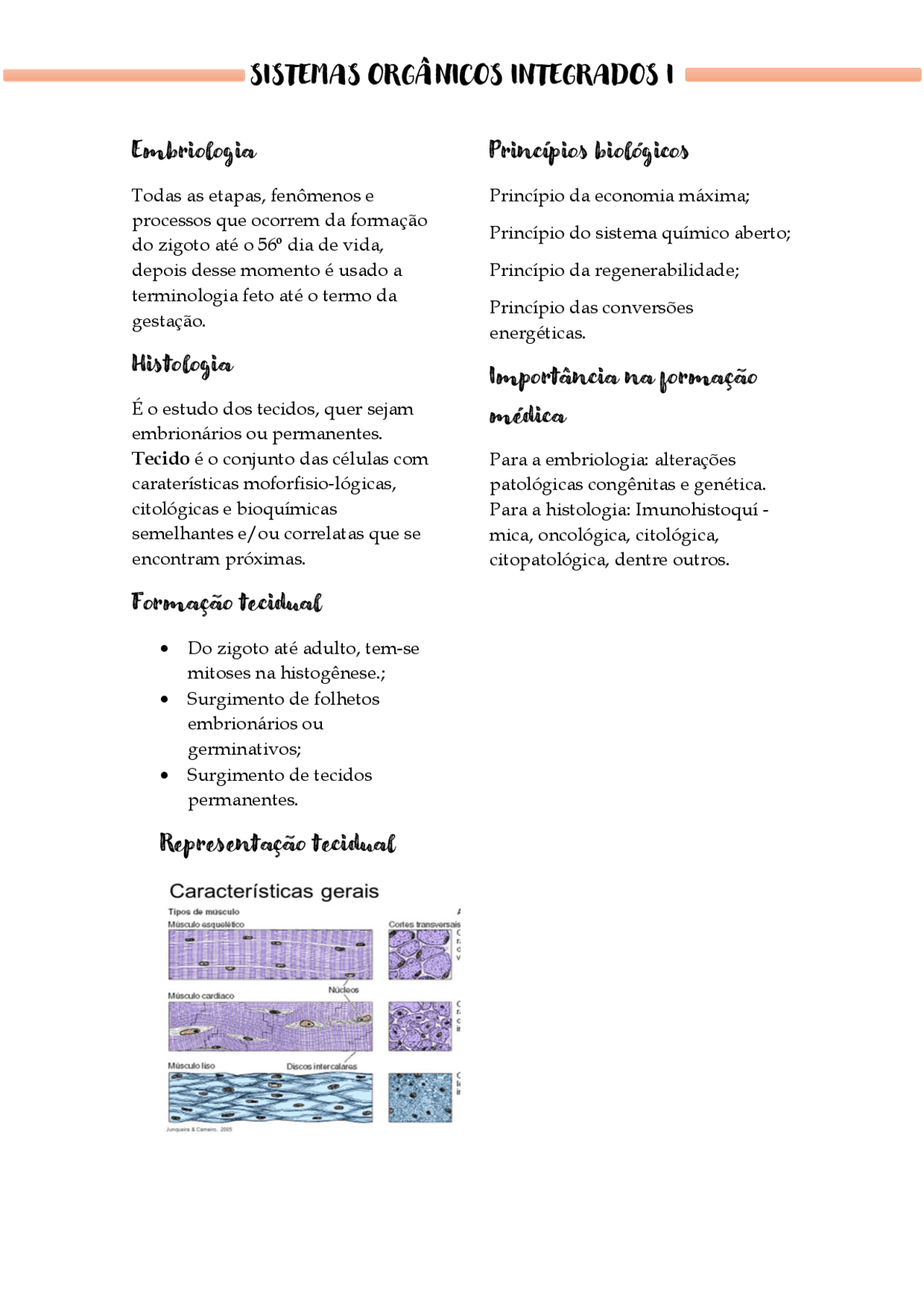 Histologia Introdução Schemes And Mind Maps Histology Docsity