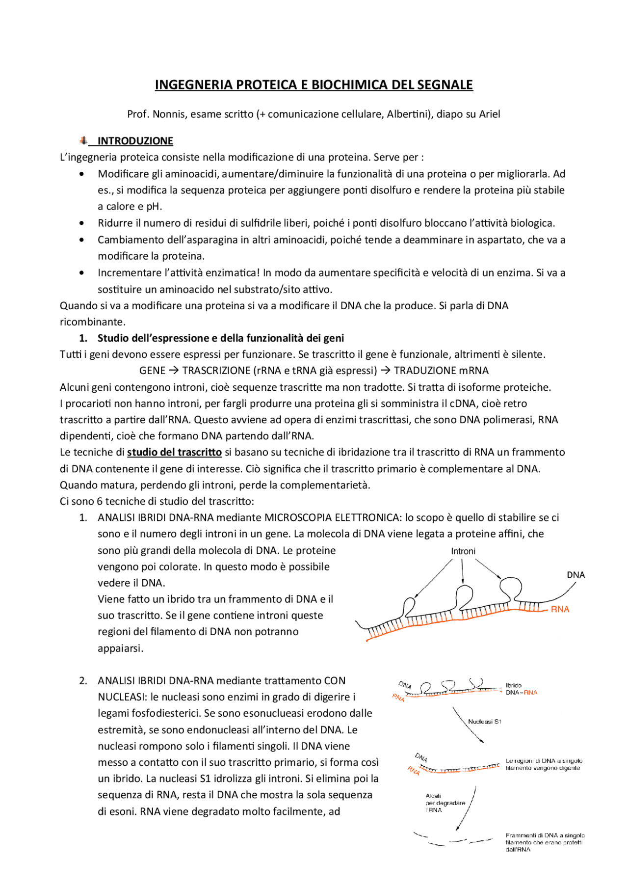 Ingegneria Proteica E Biochimica Del Segnale Sbv Unimi Docsity
