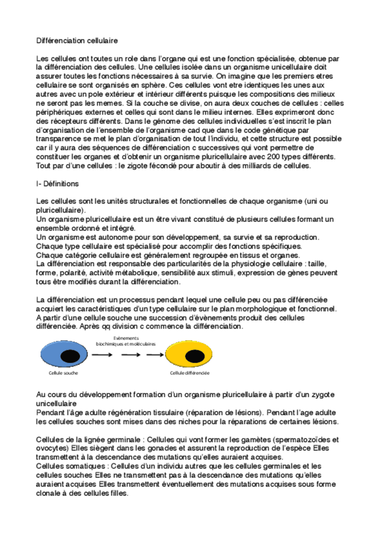 Différenciation cellulaire - Docsity
