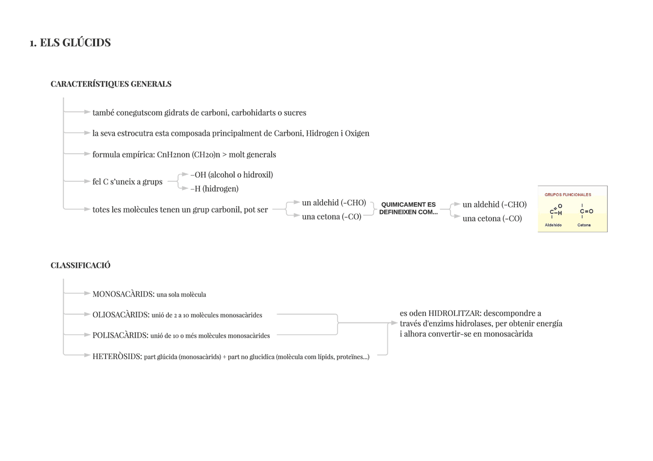 Els Glúcids Característiques Tipus I Monosacárids Docsity