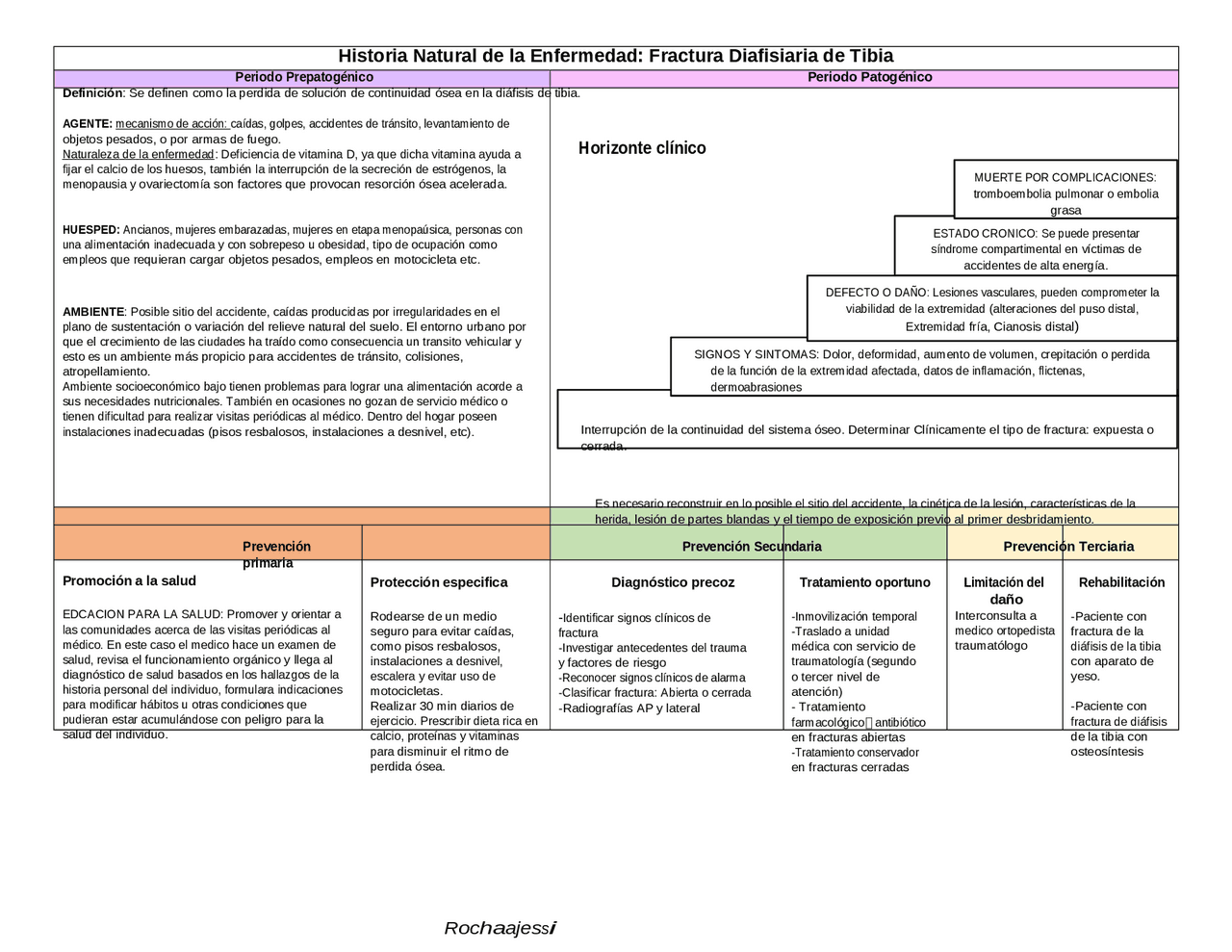 Historia Natural De La Enfermedad Apuntes De Epidemiología Docsity