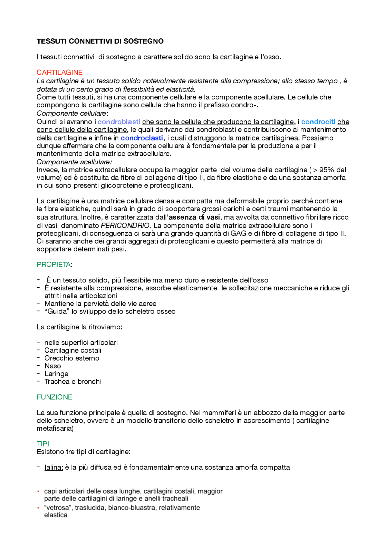 Cartilagine E Tessuto Osseo Docsity