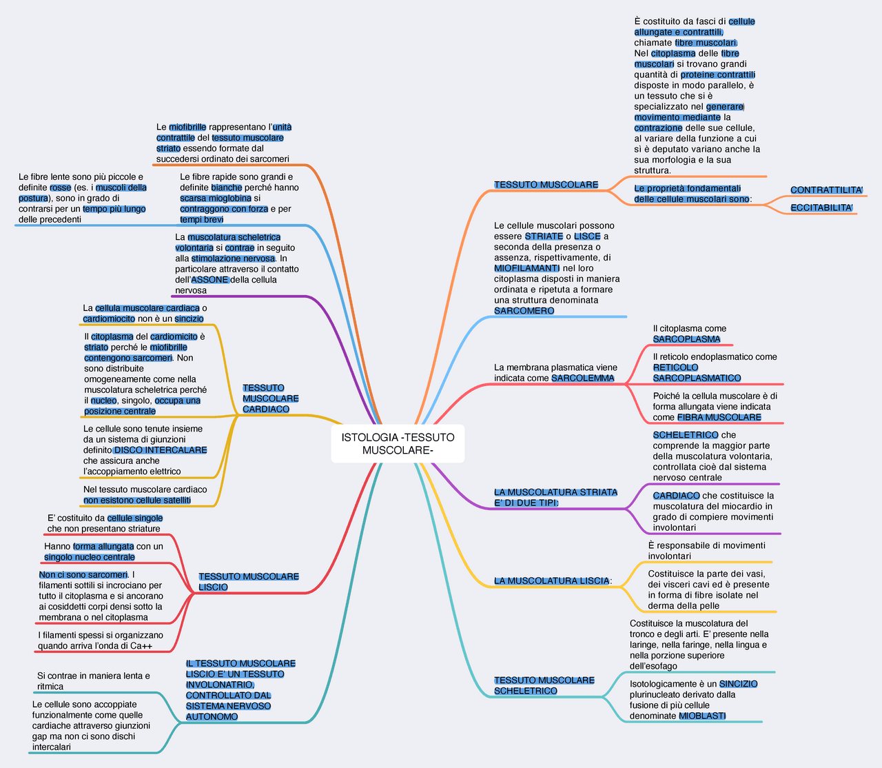 Schema Istologia Tessuto Muscolare Docsity
