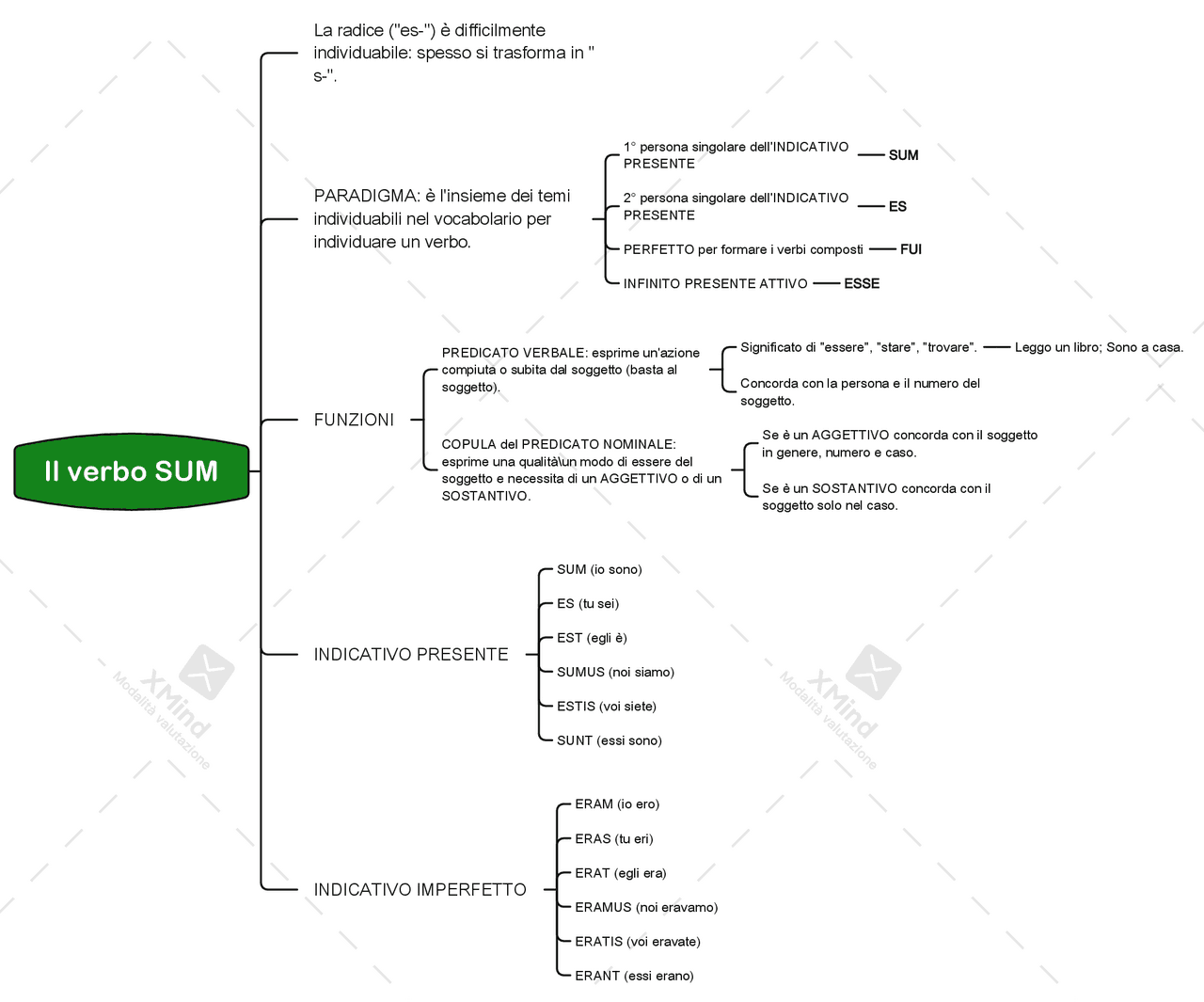 Mappa concettuale del verbo Sum. - Docsity