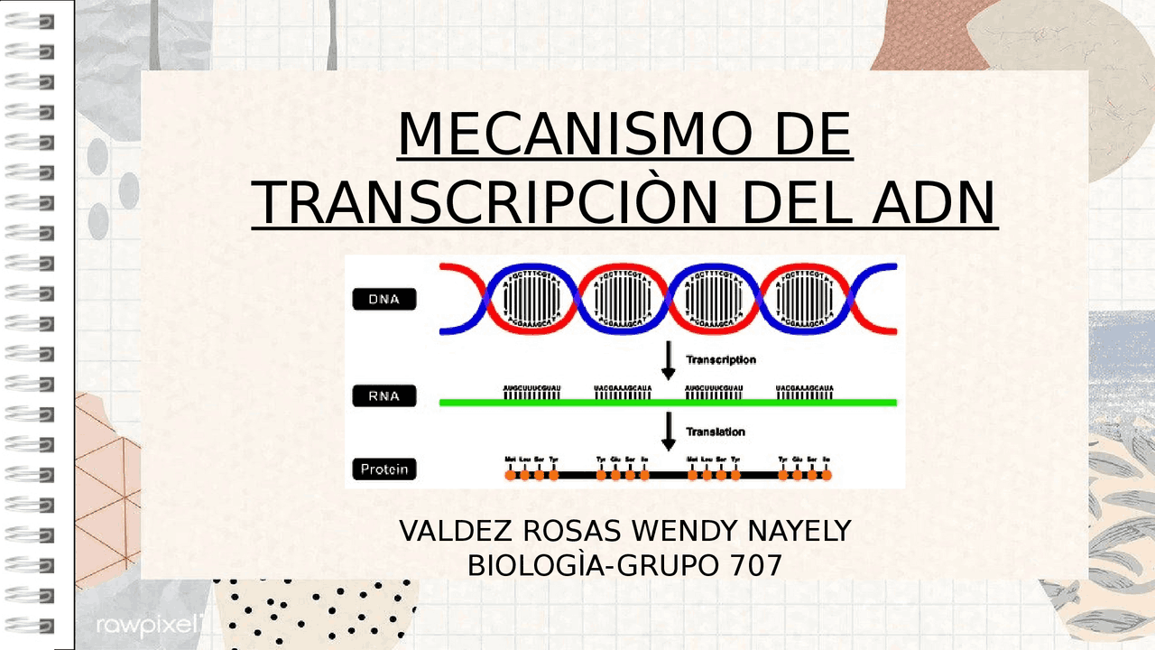 Transcripciòn del ADN | Guías, Proyectos, Investigaciones de Biología ...