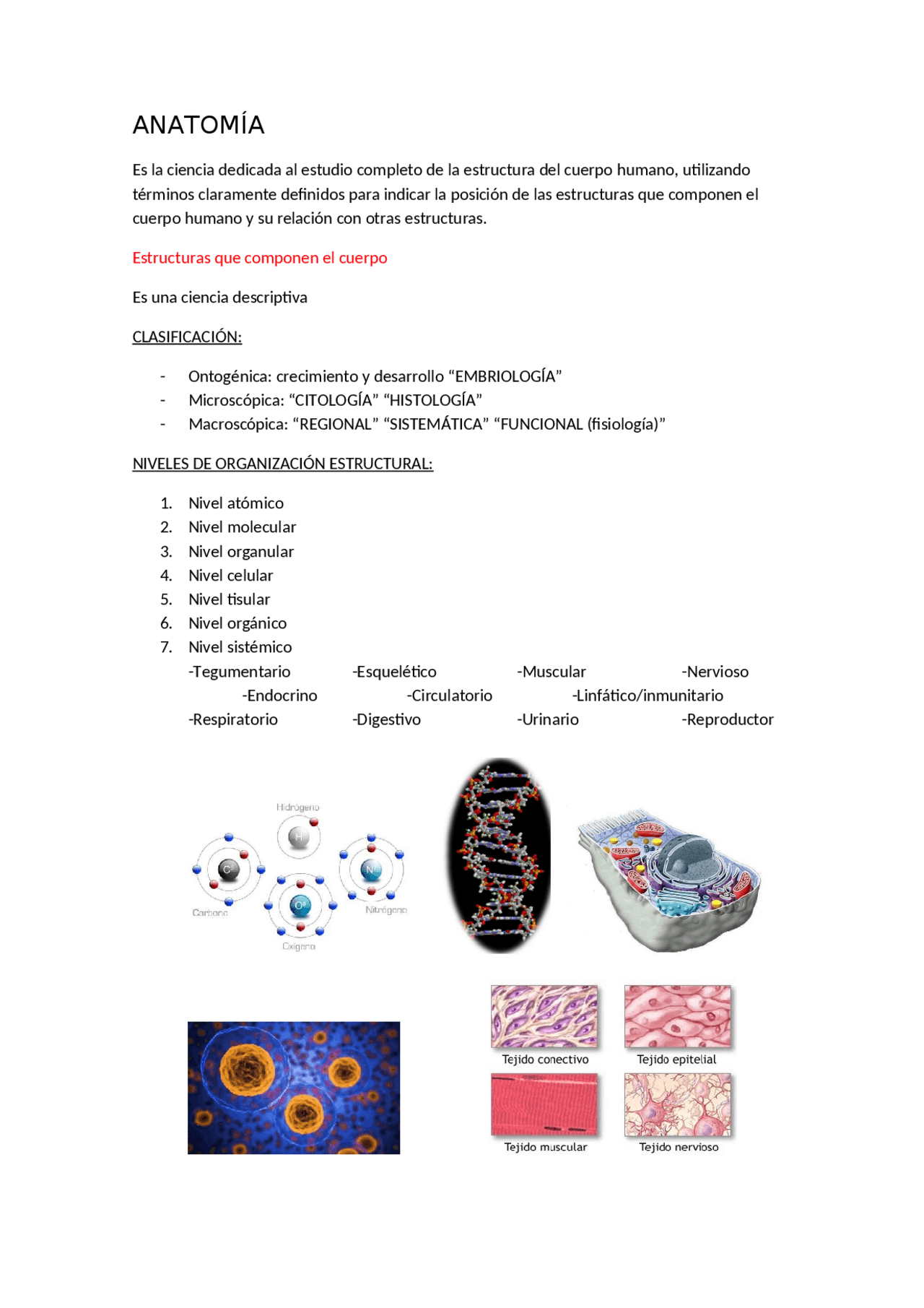 Tema 123 Y 4 De Anatomía 1º Cuatrimestre De Anatomía Docsity