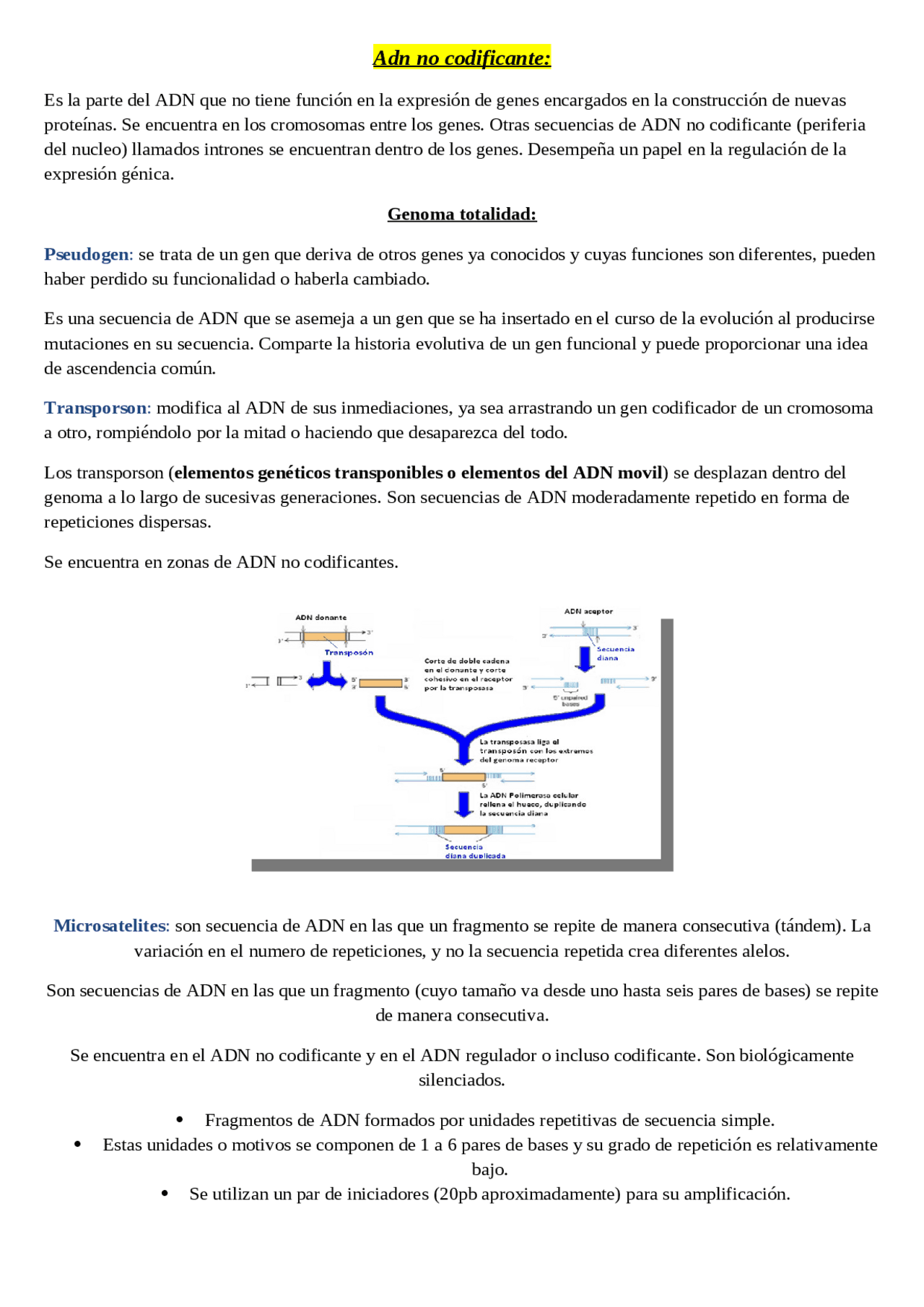 Adn no codificante: caracteristicas - Docsity