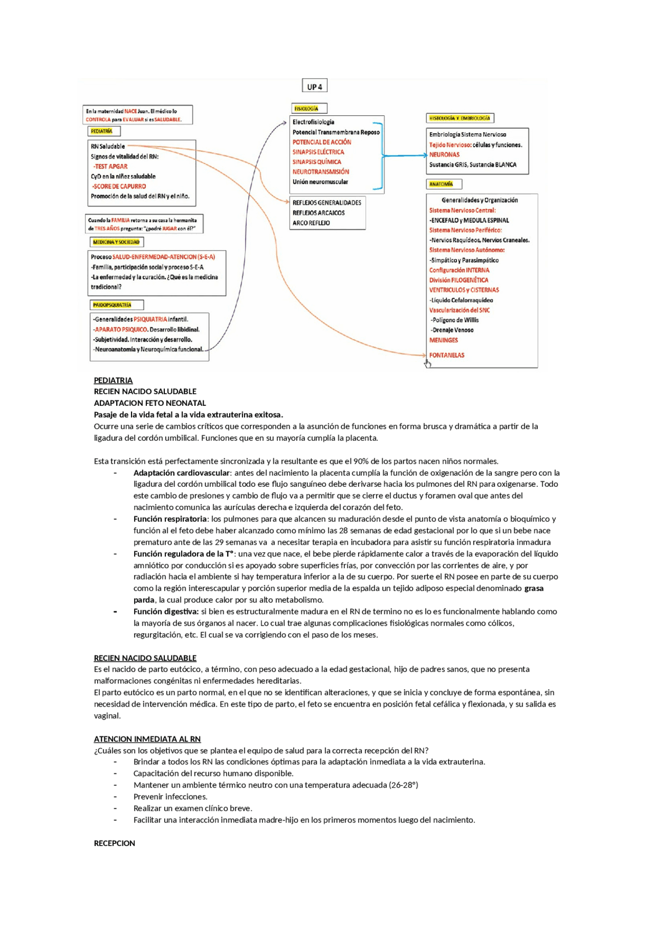 Crecimiento Y Desarrollo Up 4 Docsity