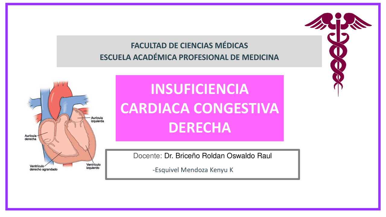Insuficiencia Cardiaca Derecha Esquema A Mano Docsity