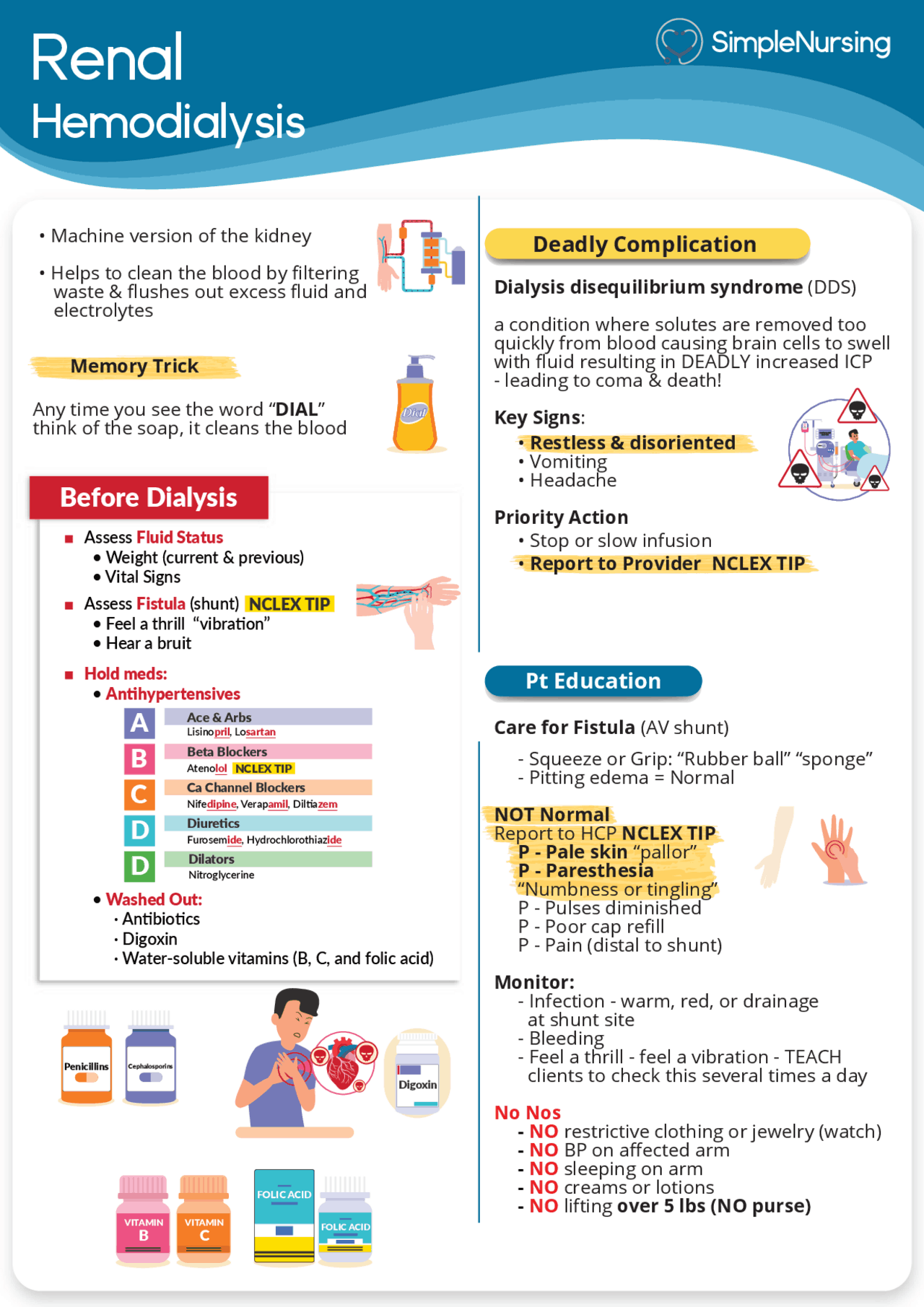 Anatomy and renal and hemodislysis - Docsity