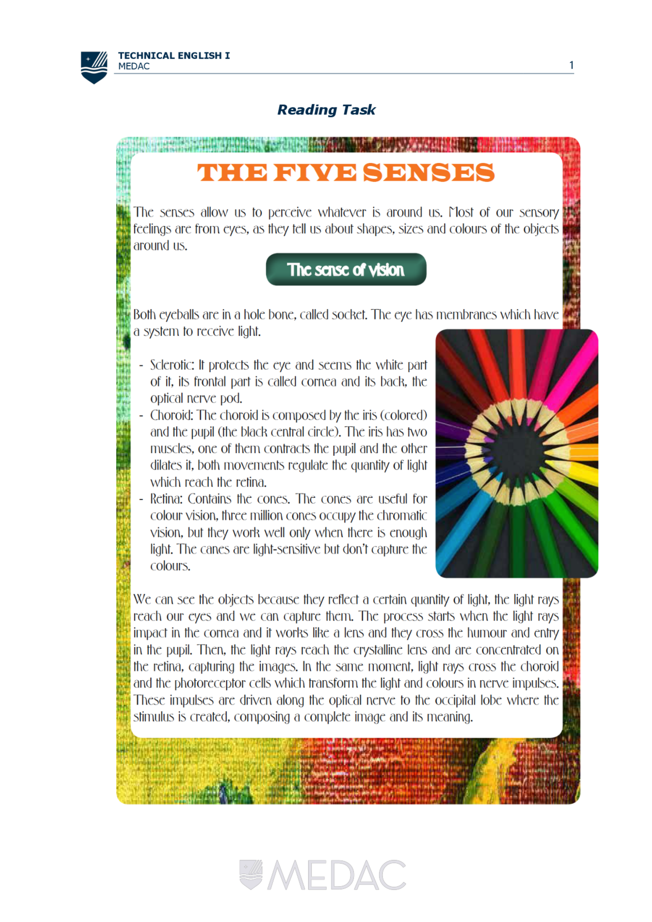 5 senses activity English class - Docsity