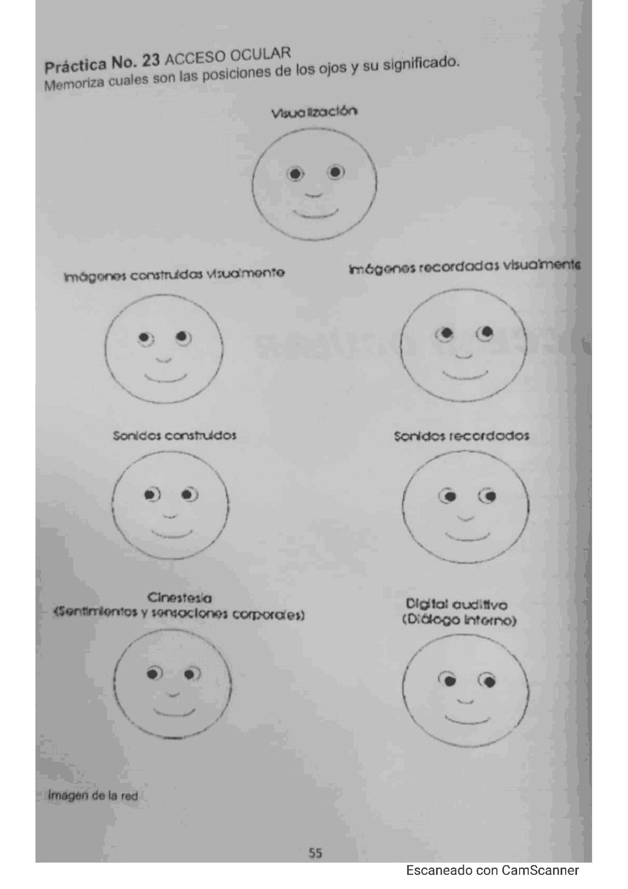 Ejercicios De ProgramaciÓn Docsity