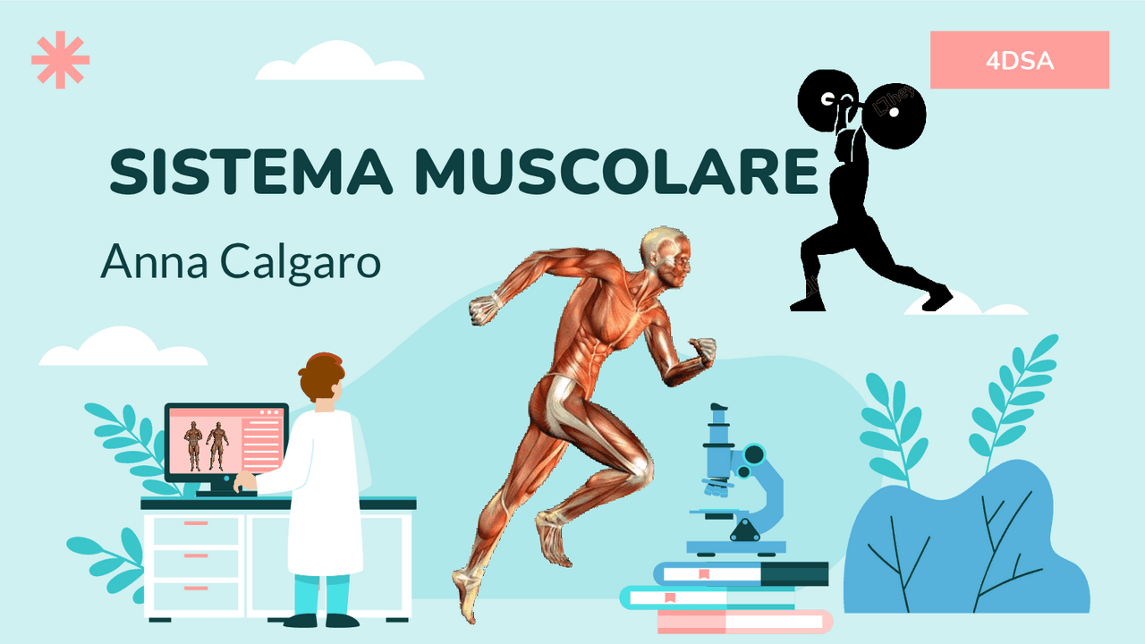 Sistema muscolare, caratteristiche - Docsity