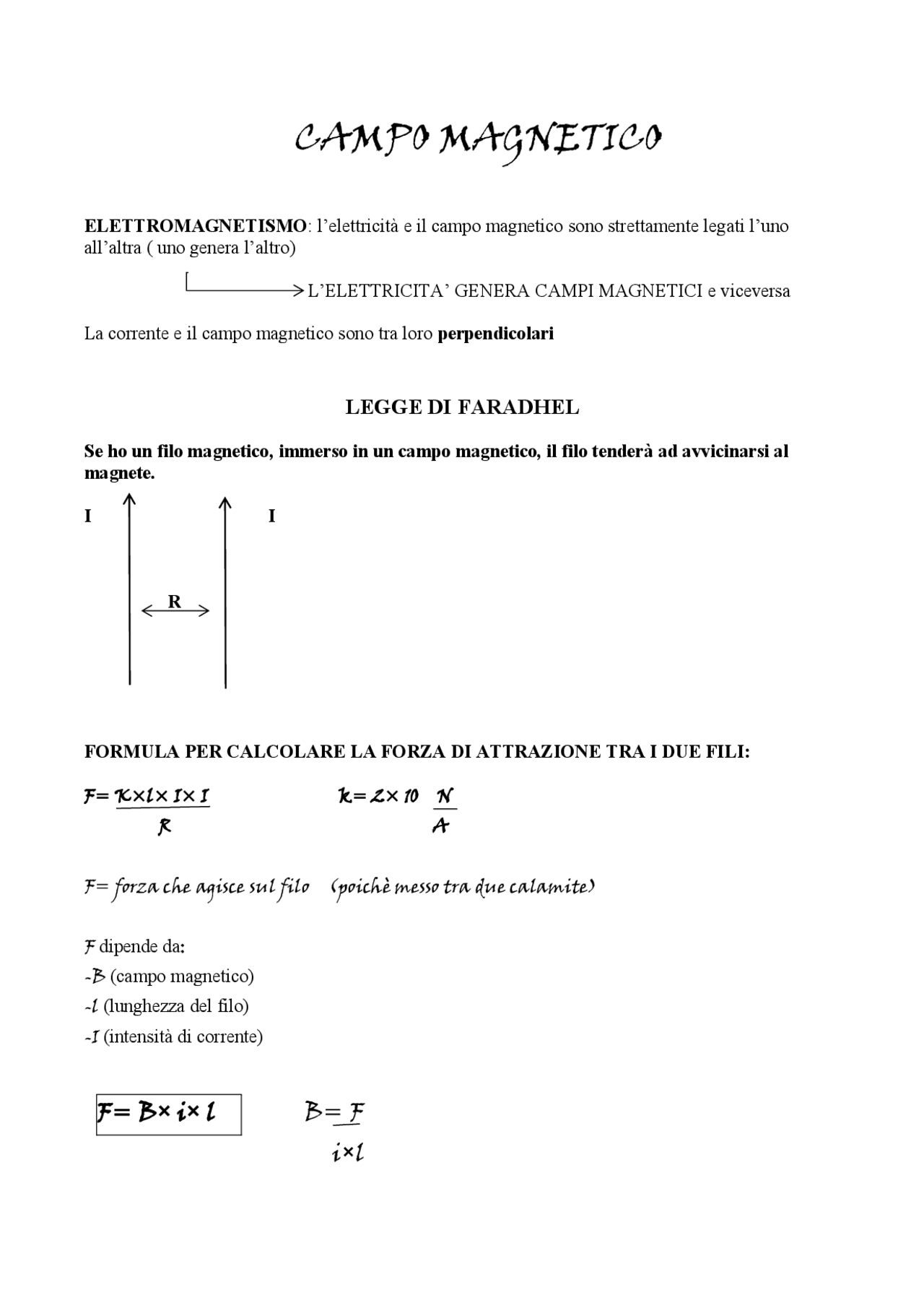 Elettromagnetismo: Campo Magnetico e Leggi di Ohm | Appunti di Fisica | Docsity