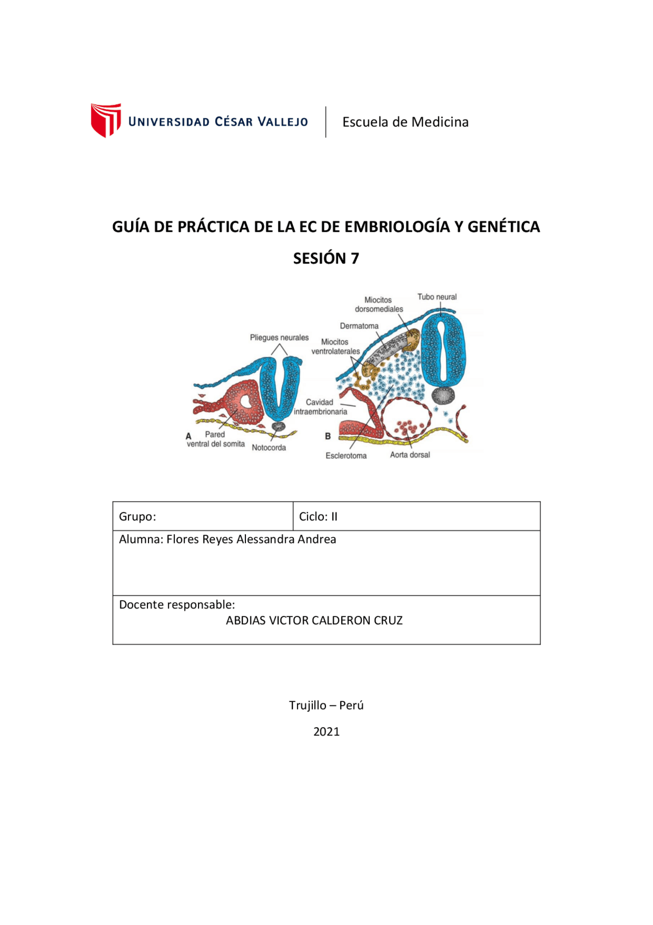 Guia Practica 7 Completa Docsity
