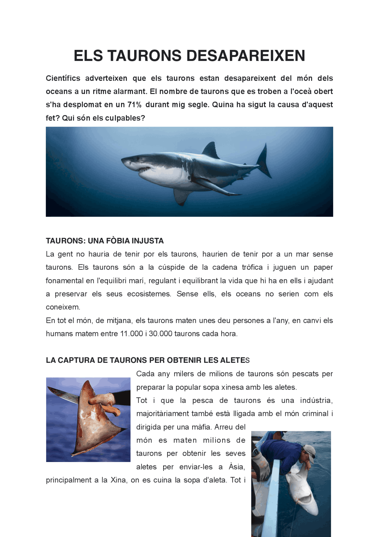 ELS TAURONS DESAPAREIXEN - Docsity